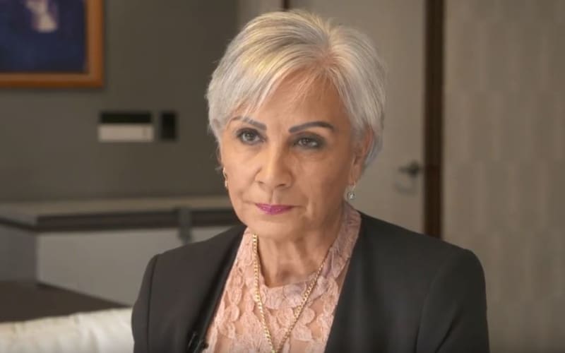 Vision NZ leader Hannah Tamaki to run for seat in general election | RNZ