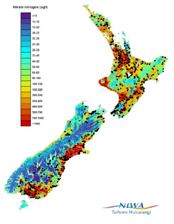 The degradation of NZ Rivers | A Gallery from Nine To Noon | RNZ National