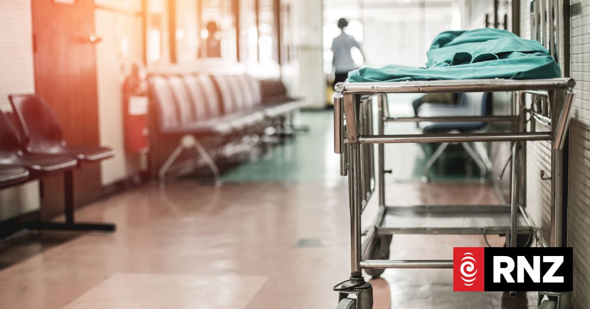 Dedicated nurses for managed isolation 'ideal' - infection control ...
