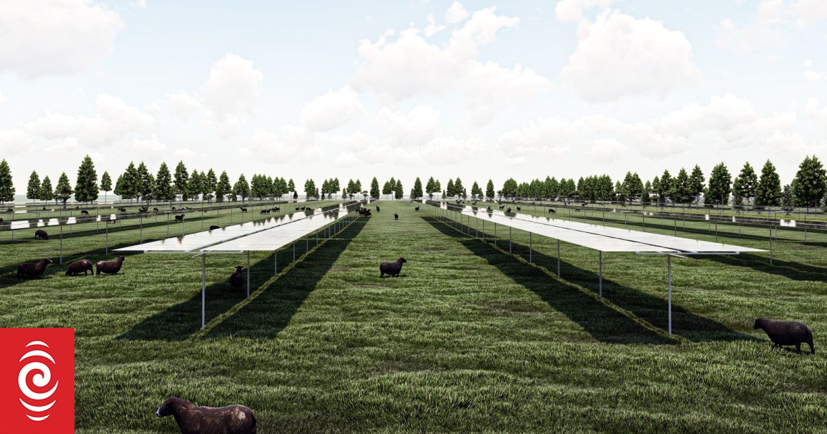 Government's green investment bank adds $15m to solar project | RNZ News