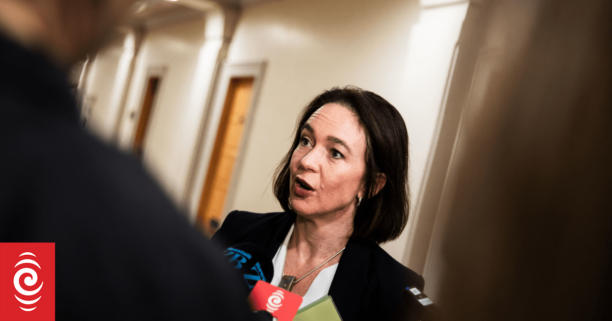 Cuts to frontline services risking safety of families - Labour | RNZ News