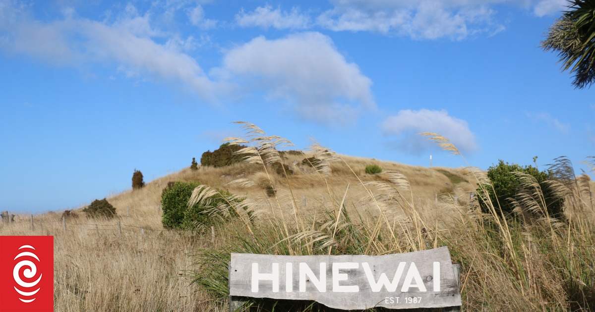 "Nature's itching to put the bush back" | RNZ