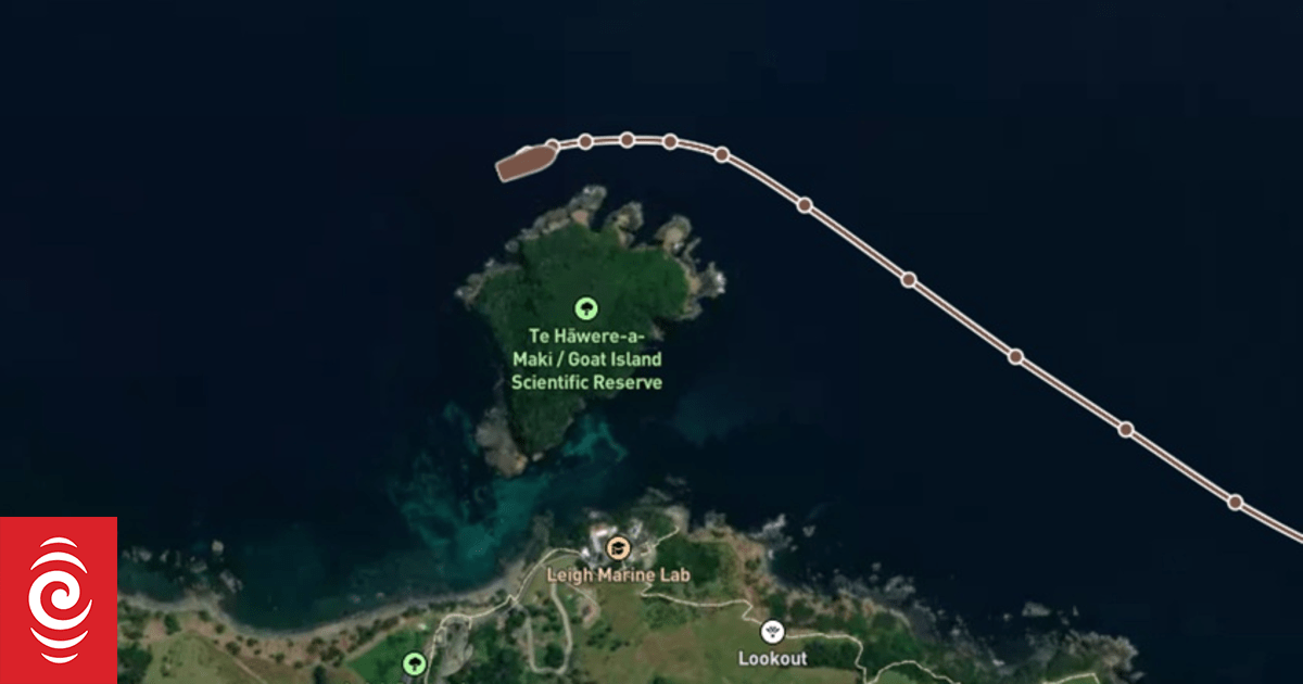 Police, Coastguard rescue missing night diver near Goat Island | RNZ News