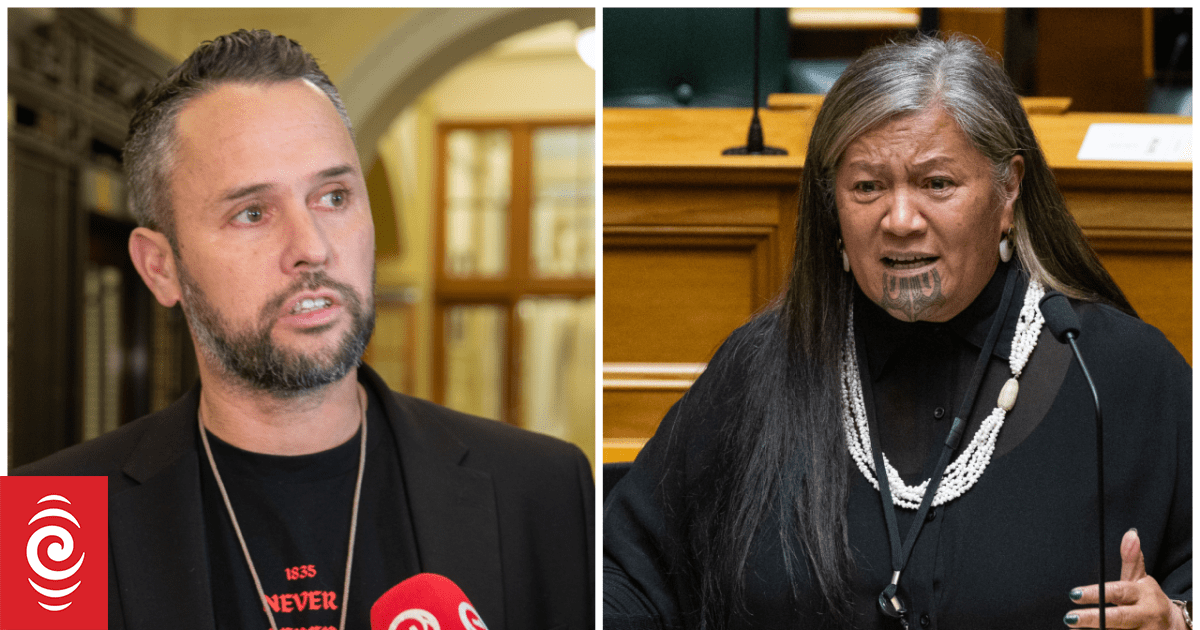 Expelled MPs Mariameno Kapa-Kingi and Tākuta Ferris cast first votes as ...