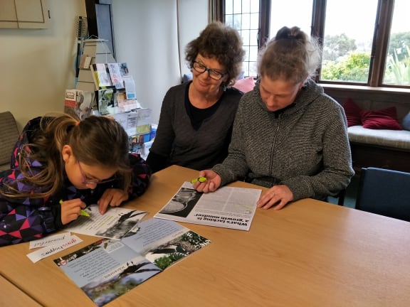 Gail Harrison | A Gallery from Nine To Noon | RNZ National