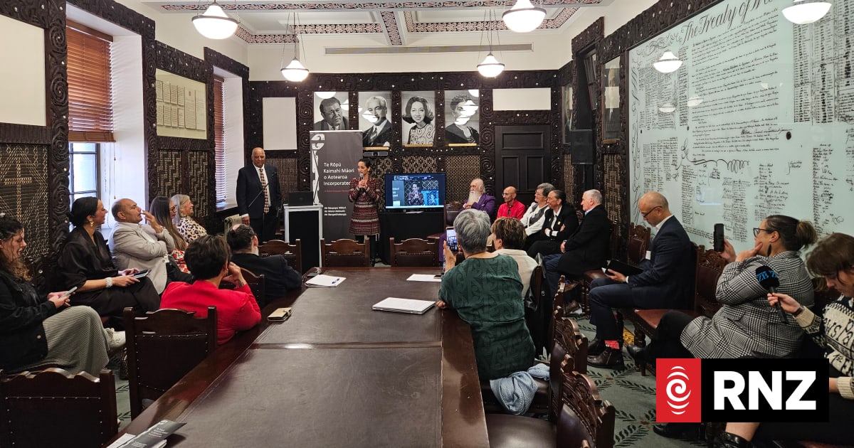 Māori unions and iwi leaders say the Budget will not alleviate Māori ...