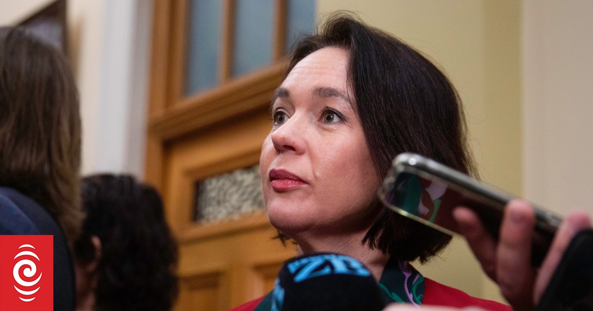 Anti-trans rant and abuse of MP disrupts select committee | RNZ News