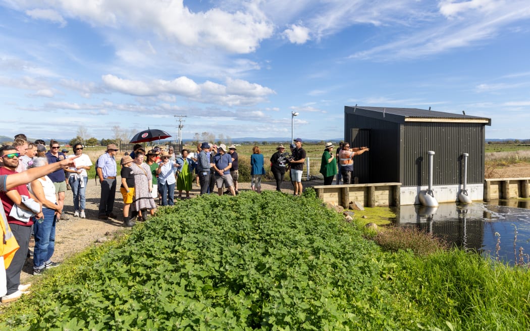 Waihī Estuary has original name Te Heriheri restored as part of wetland ...
