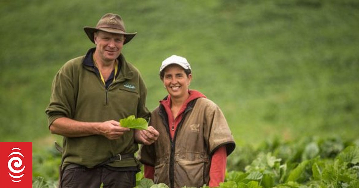 Top Maori farming prize awarded | RNZ News
