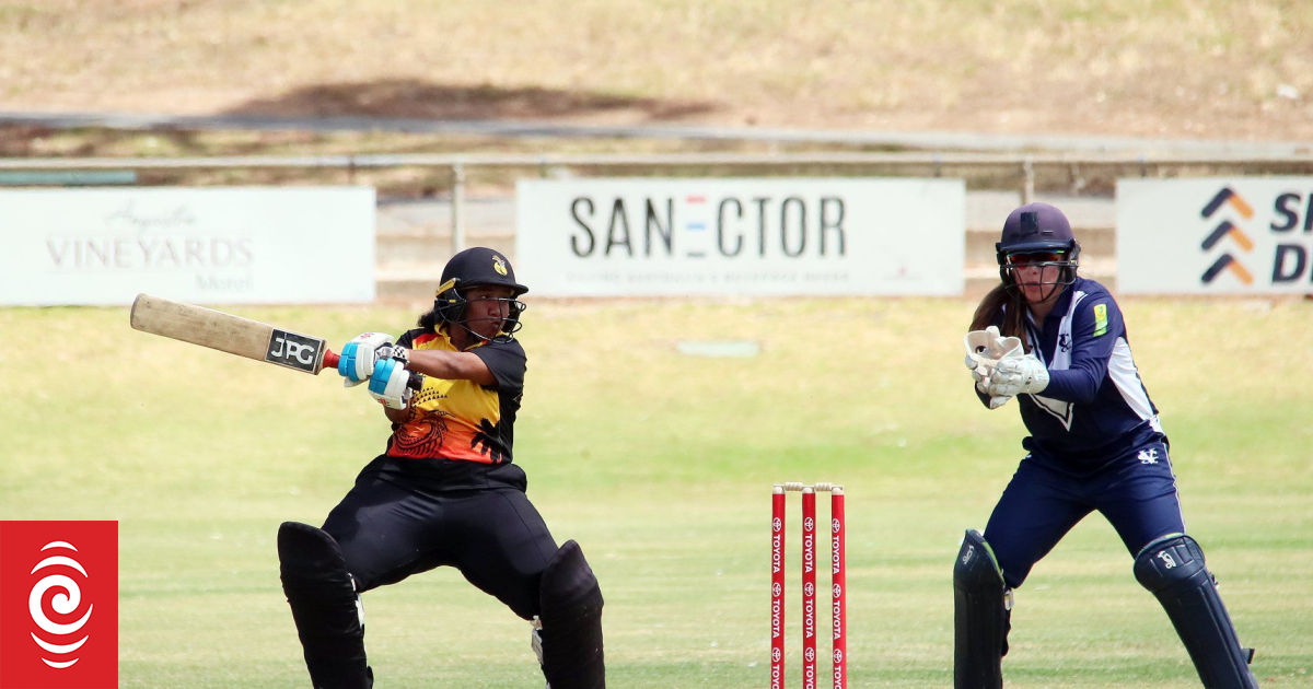 PNG Lewas have two wins, two losses in Australian country cricket ...