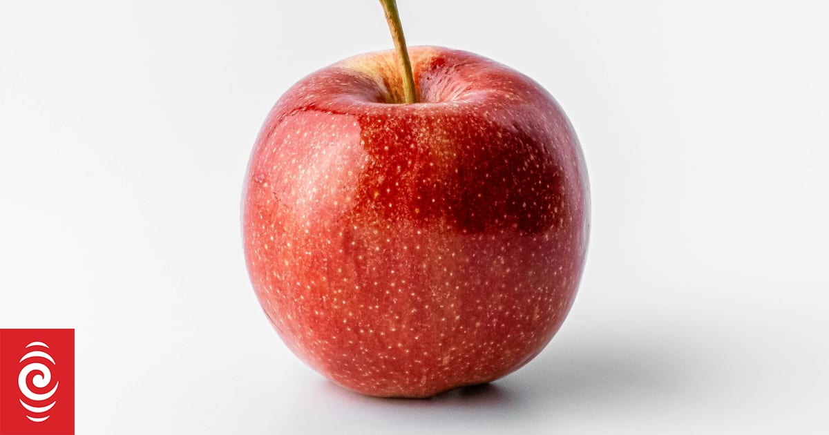 Can you picture a red apple in your mind without looking at one? | RNZ