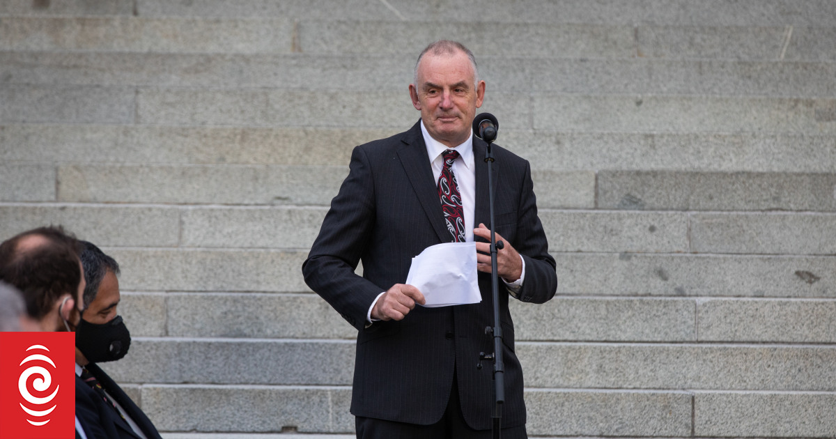 Political commentators Neale Jones & Tim Hurdle | RNZ