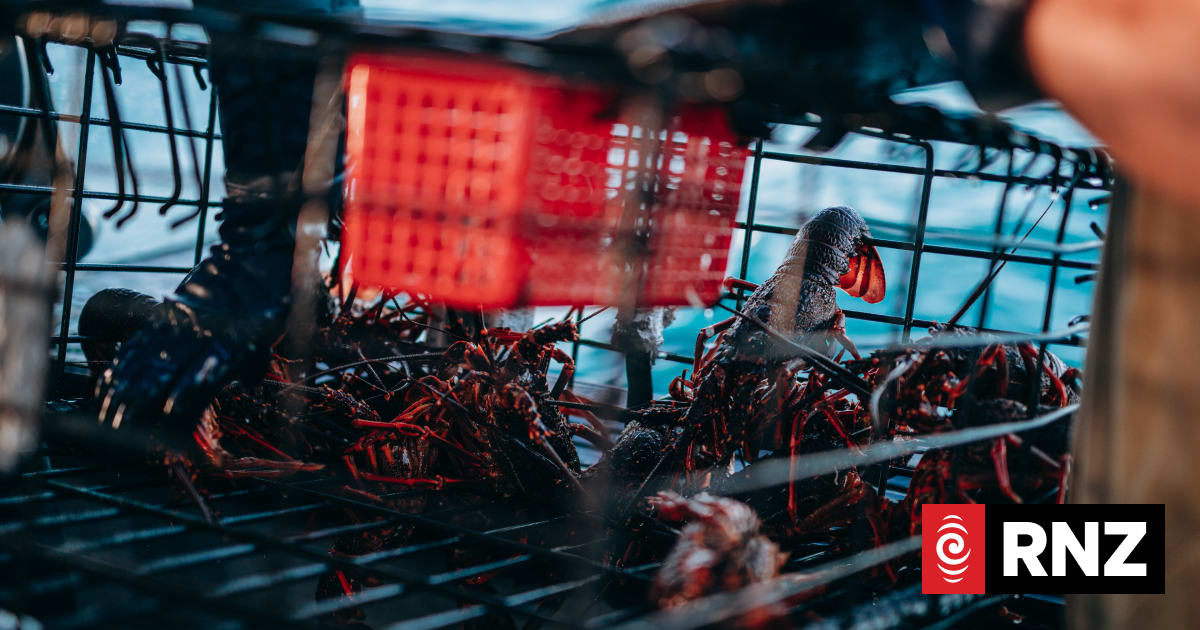 Māori authorities exports rose by 1.8% to $755m in 2020 - Stats NZ | RNZ