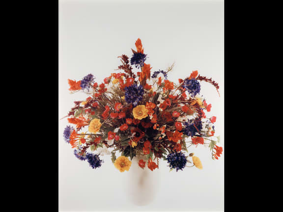 Michael Parekowhai: The Promised Land | A Gallery from Nine To Noon ...