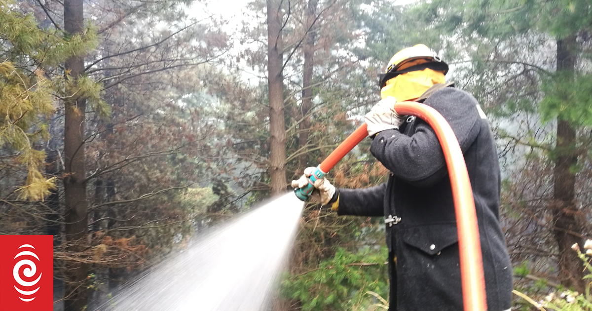 'An abundance of flammable vegetation' - restricted fire season for ...