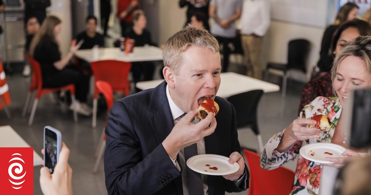 Labour promises to keep school lunch programme | RNZ News