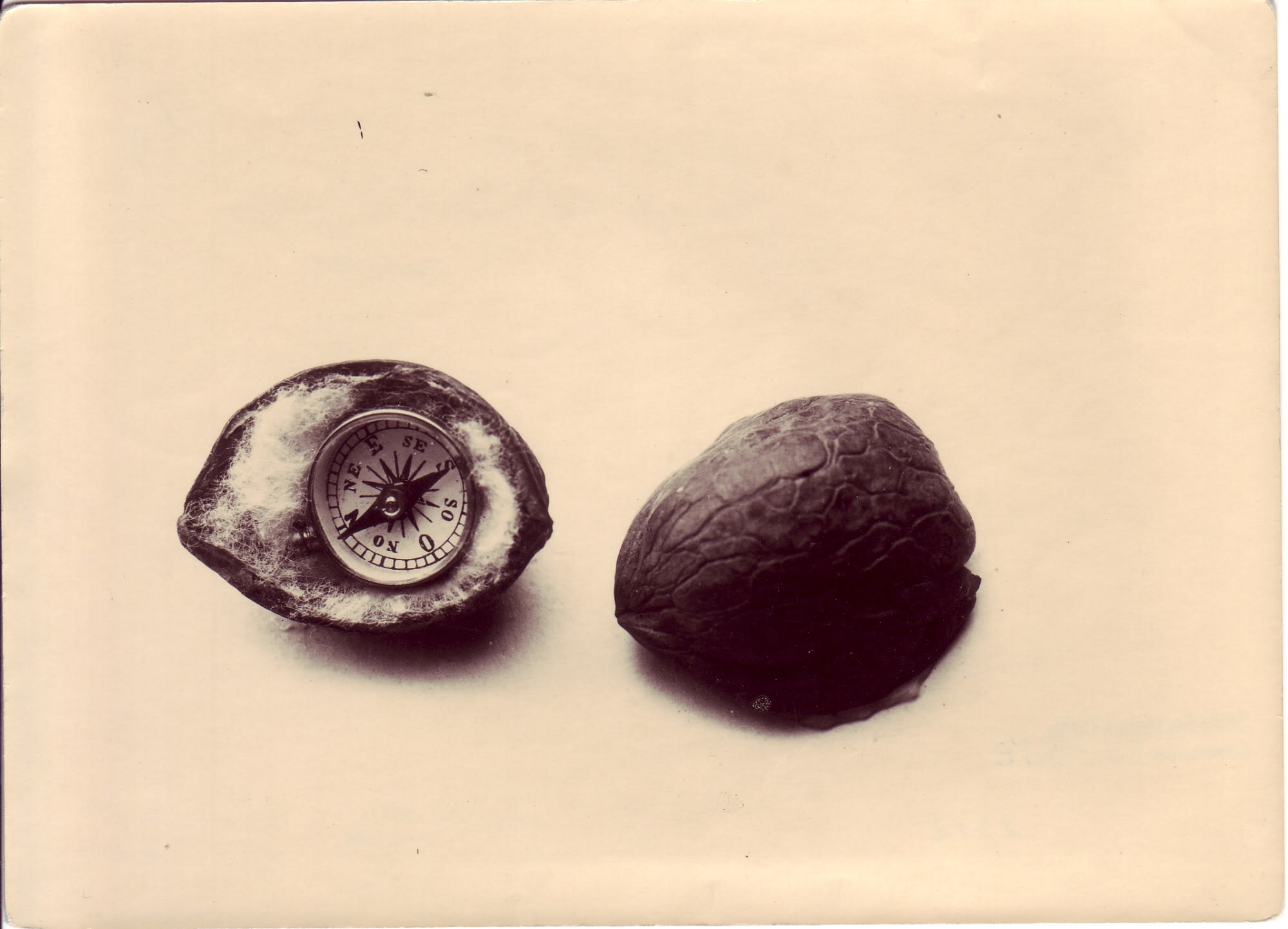 Colditz: Prisoners of the Castle | A Gallery from Nine To Noon | RNZ ...