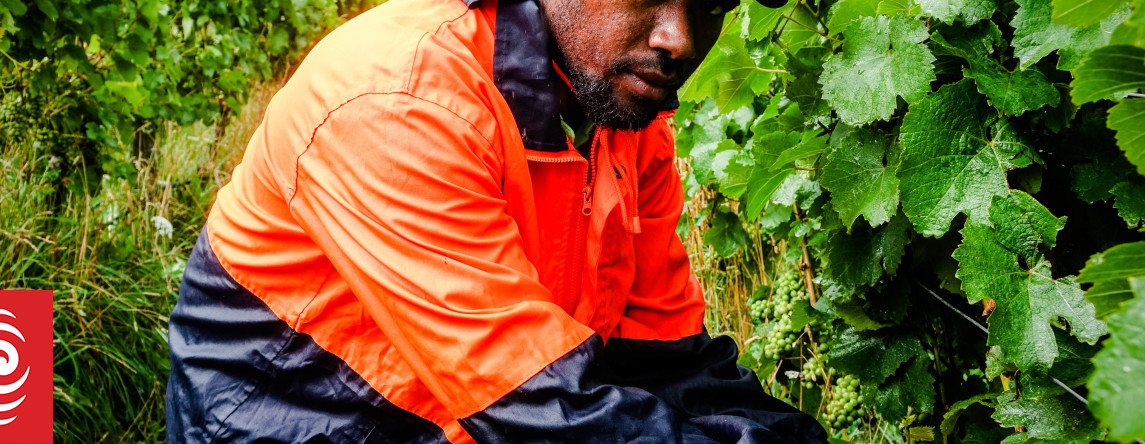 Pacific welcomes easier access to New Zealand RSE scheme | RNZ