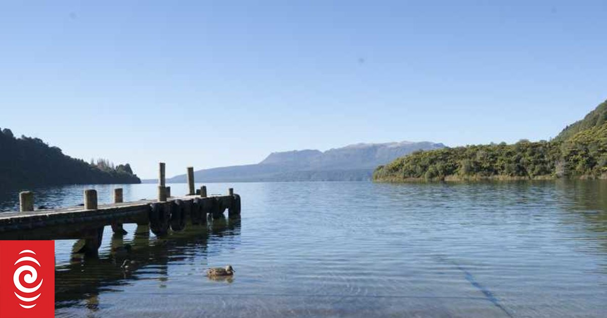 Wattle tree removal brings pride to iwi | RNZ News
