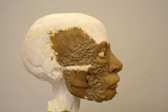 Mummy facial reconstruction | A Gallery from Afternoons | RNZ National