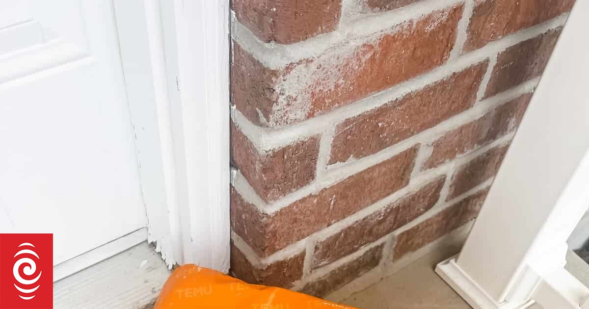 Temu launches investigation after charger sparks house fire in ...