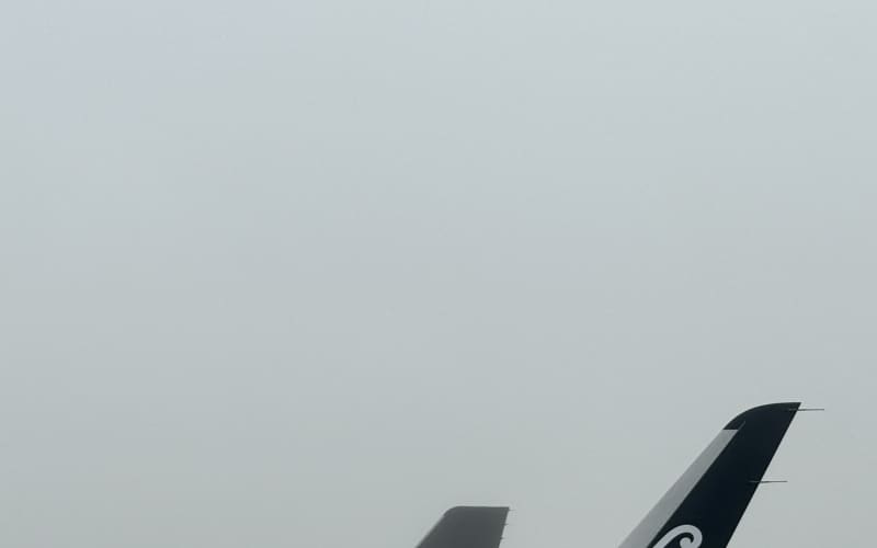 Heavy rain, strong wind watches following fog disruption | RNZ