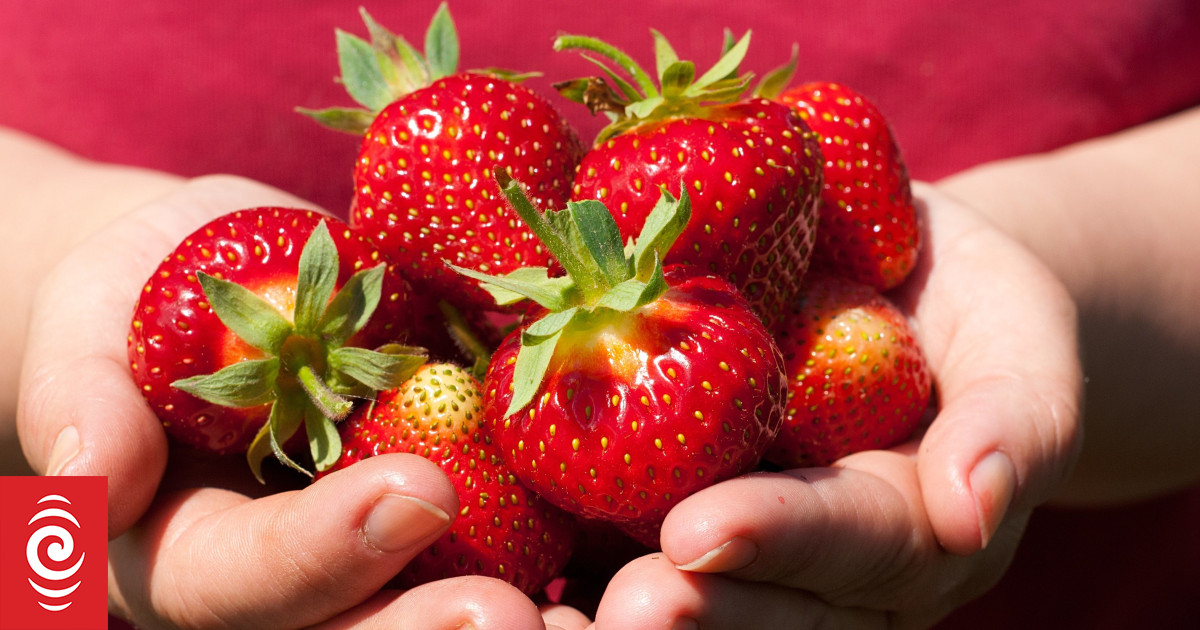 The Pre-Panel with Paula Penfold and Garry Moore | RNZ