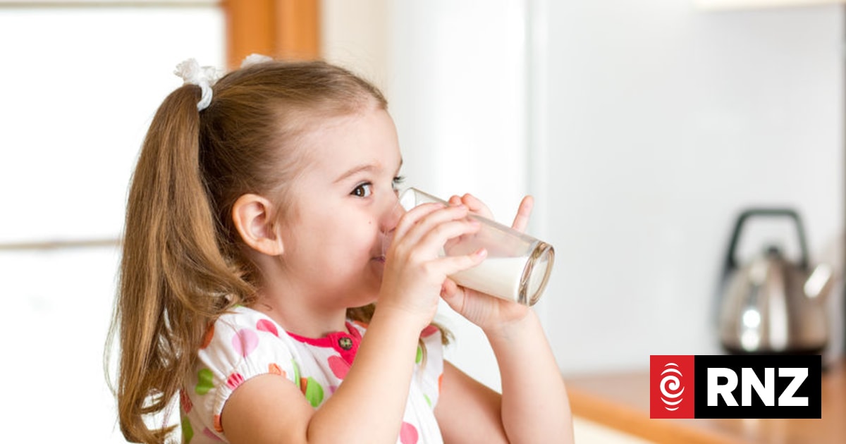 Most pre-schoolers still drink full-fat milk | RNZ