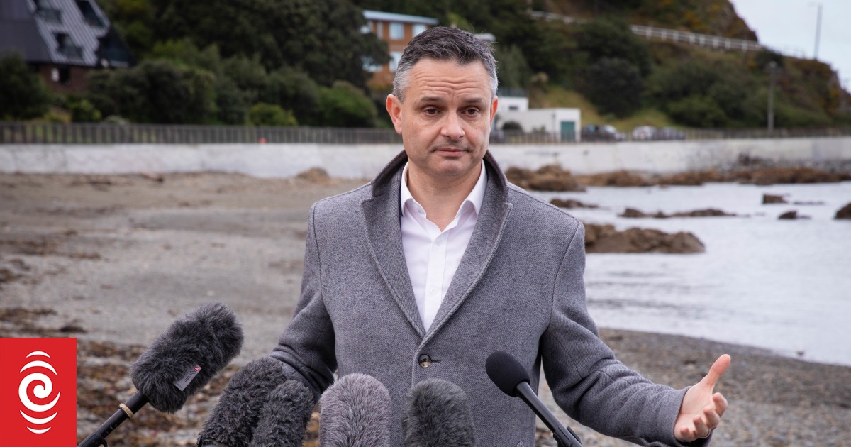 James Shaw only contender as Green co-leader nominations close | RNZ News