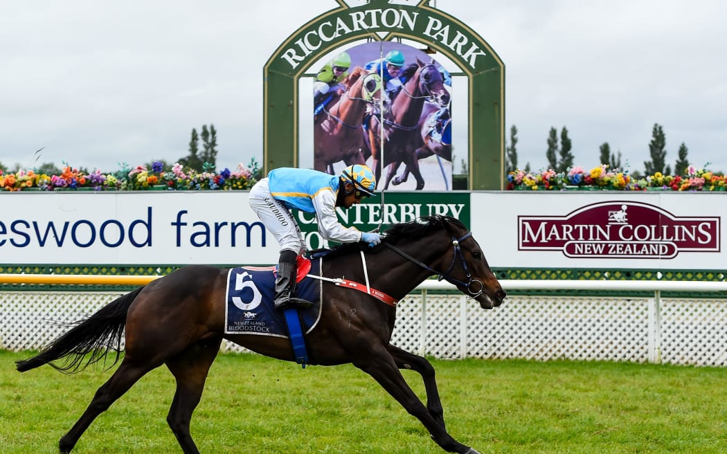 Three synthetic tracks to be used in next Thoroughbred season | RNZ News