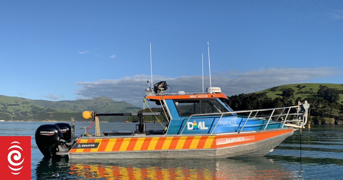 Mapping the Poverty Bay seabed like never before | RNZ News