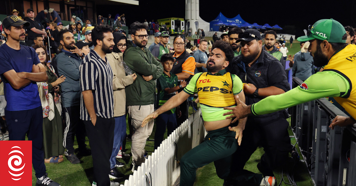 Spectators ejected from ODI after Pakistan cricketers allege verbal ...