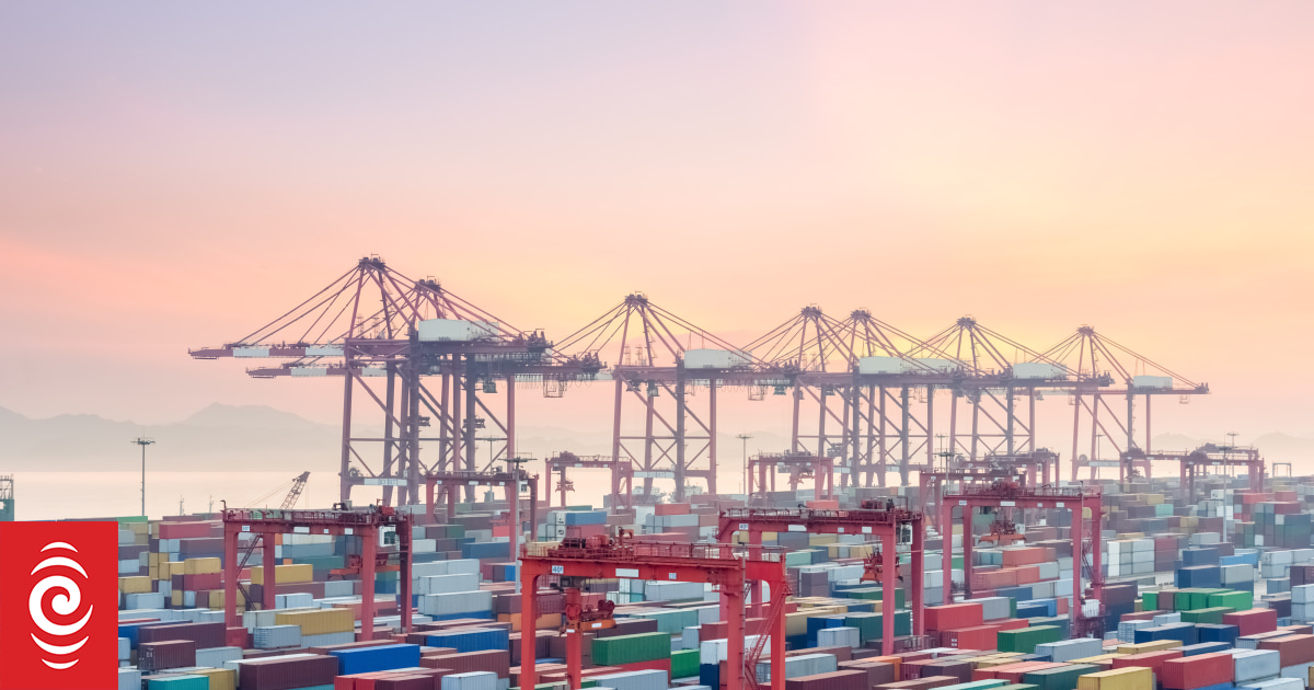 Cartel behaviour warning for eight freight forwarding companies | RNZ News