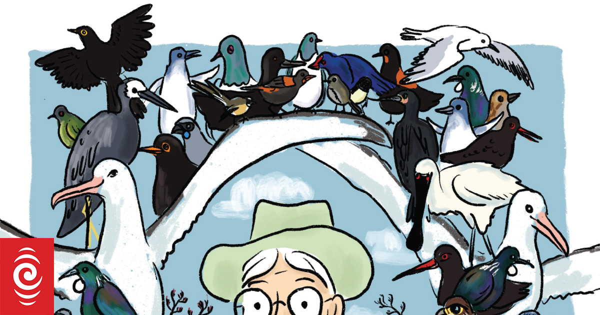 Book review: Sylvia and the Birds by Johanna Emeney & Sarah Laing | RNZ