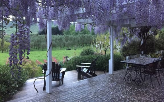 Moon Over Martinborough by Jared Gulian from The Listen Anytime Library ...