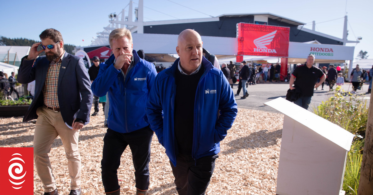 Political commentators Neale Jones & Tim Hurdle | RNZ