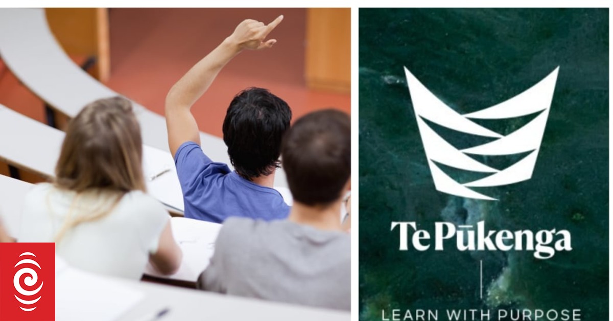 Te Pukenga continues as polytechs focus on survival | RNZ