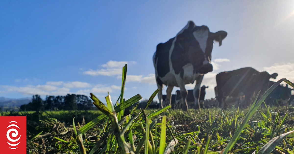 Farming cooperatives can get a bad environmental rap, but they can also ...