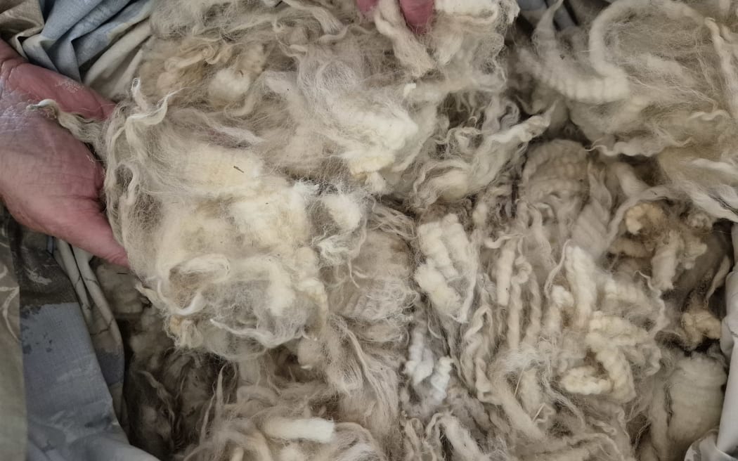 PGG to end Napier's historic wool auctions marking end of an era | RNZ News