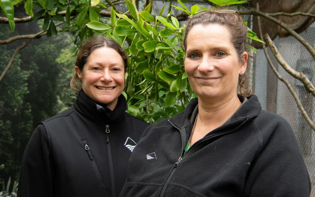 Zoo talks boost Ngāmotu natives in Conservation Week | RNZ News