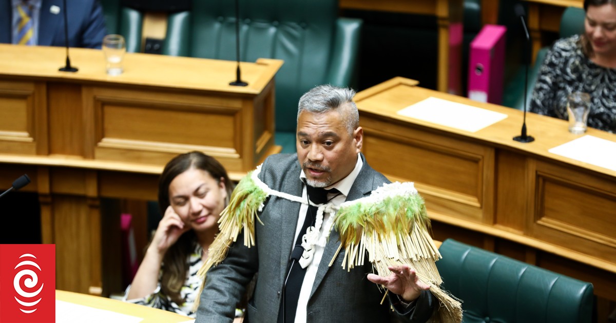 Meet the new MPs: Greens | RNZ News