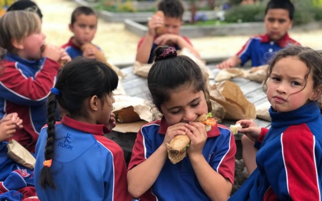 Treasury unsure school lunch scheme represents value for money - Budget ...