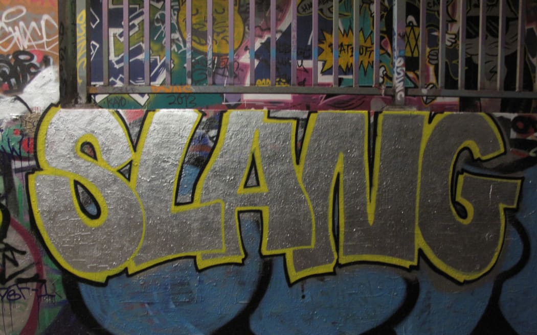 Generation Alpha reshapes slang with new terms like skibidi and ...