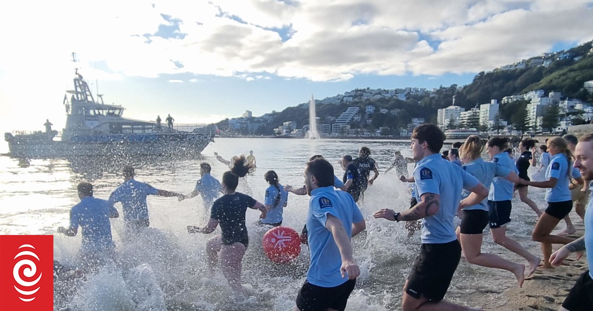 Hundreds take part in New Zealand's first Special Olympics Polar Plunge ...