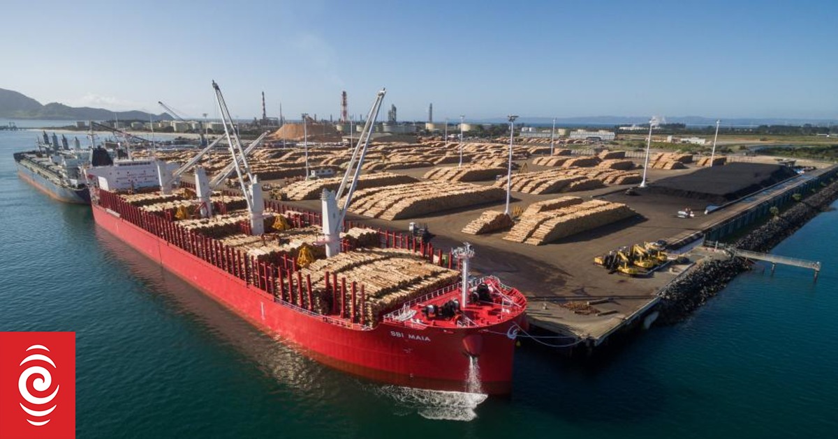 Government exploring development of new dry dock in Northland | RNZ News