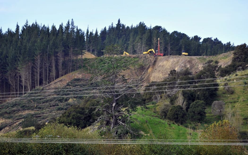 Environmental group challenges forestry claims | RNZ News