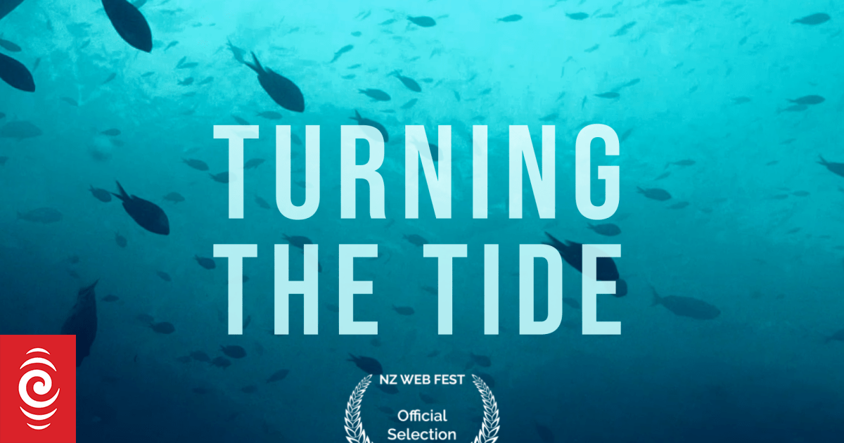 Introducing: Turning The Tide | RNZ