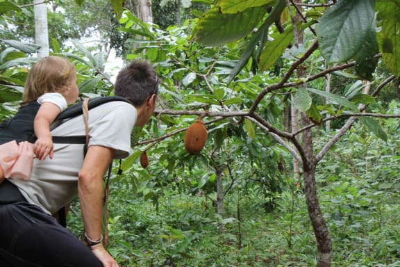 Wildness | A Gallery from Nine To Noon | RNZ National