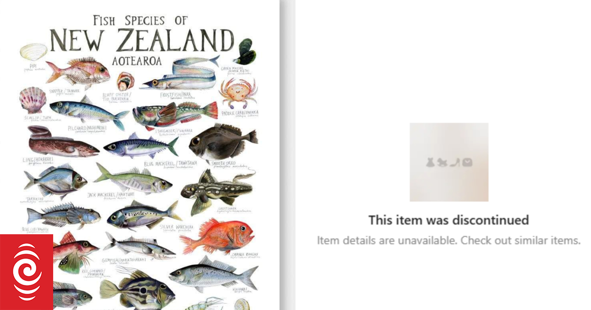 Artists told to 'keep an eye on Temu' for rip-offs | RNZ News