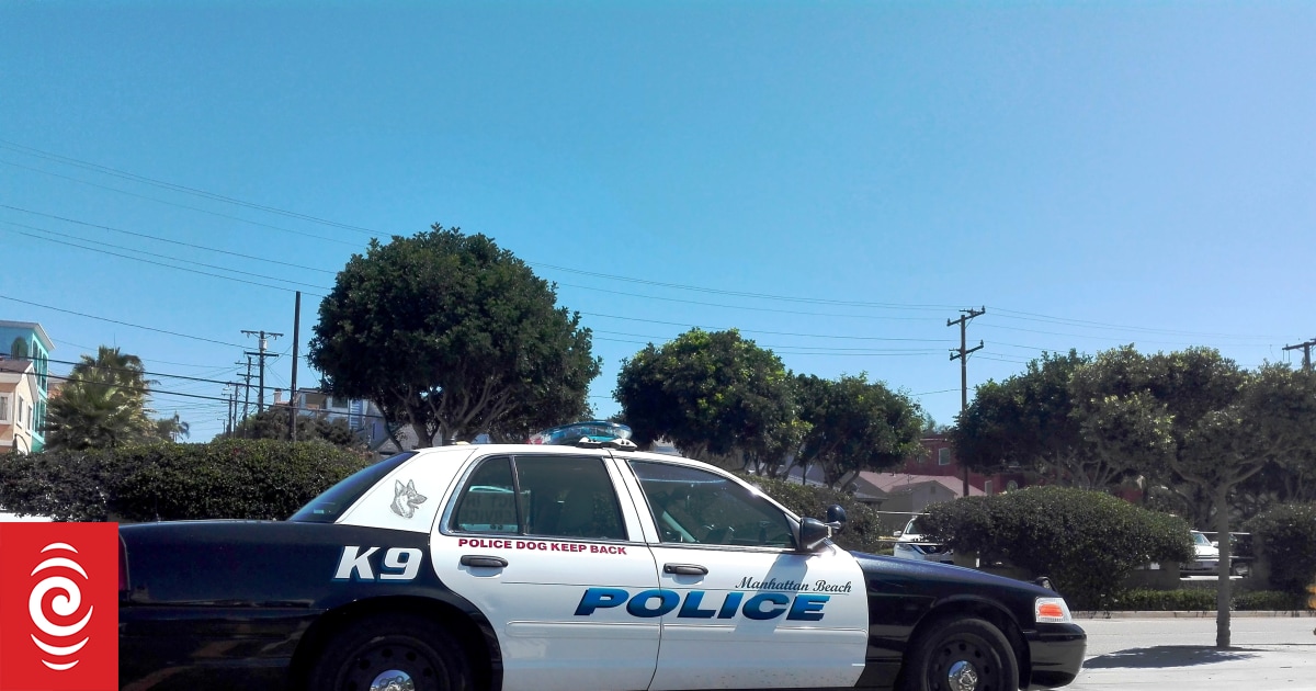 At least nine shot at California party | RNZ News
